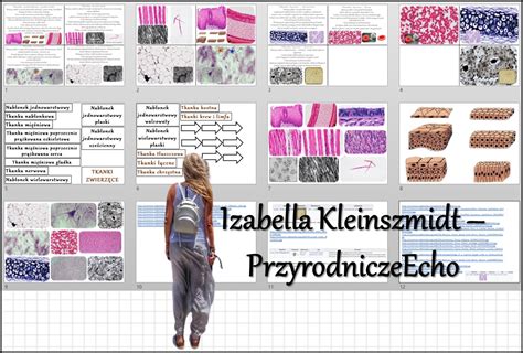 Materia Do Zalaminowania Praca W Grupach Stacje Zadaniowe Uk Adanka