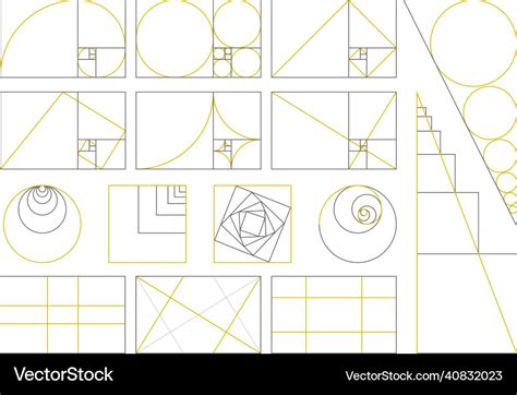 golden ratio divine proportions fibonacci vector image