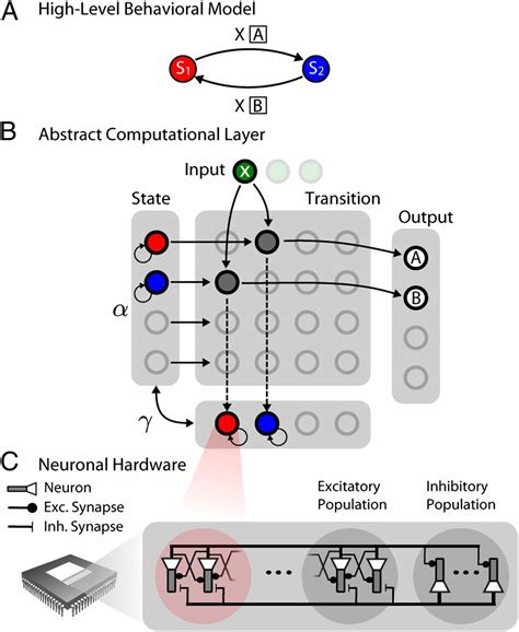 synthesizing cognition in neuromorphic electronic systems pnas