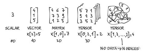 pytorch笔记——tensor tensor 遍历 csdn博客