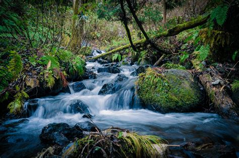 Images Gratuites paysage eau la nature cascade ruisseau région
