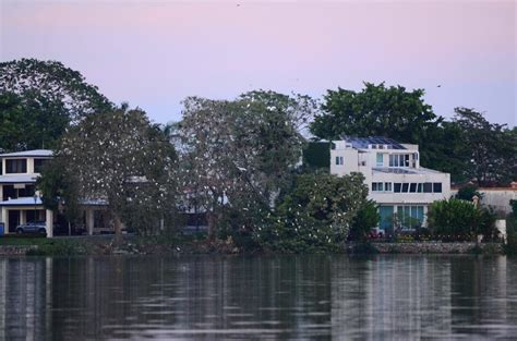 Laguna De Las Ilusiones Tabasco