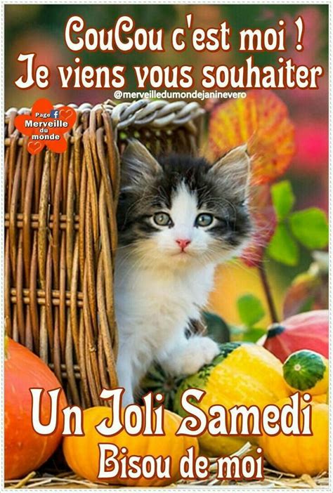 Pin By Helene Papillon On BON SAMEDI Good Morning Funny Bon Weekend