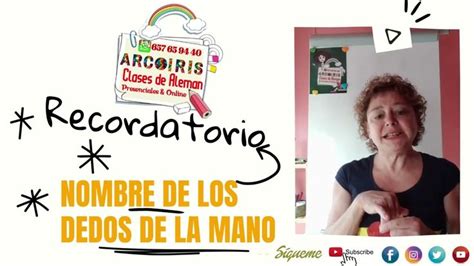 C Mo Se Llaman Los Dedos De La Mano En Alem N