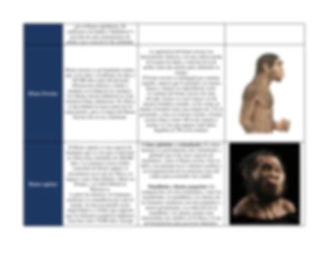SOLUTION L Nea De Tiempo Sobre La Evoluci N Humana Grupo 3 Studypool