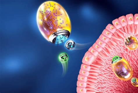 Twin Bioengine Self Adaptive Micro Nanorobots Innovations Report