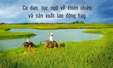Những câu ca dao tục ngữ nói về thiên nhiên và lao động sản xuất