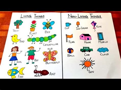 10 Living Things Drawing 10 Non Living Things Drawing 10 Living And Non