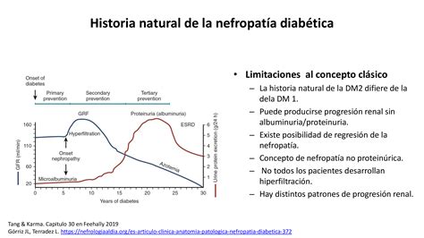 Afectación renal en la diabetes mellitus Nefrología al día