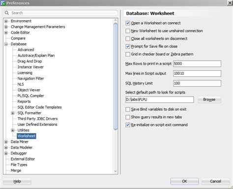 oracle sqldeveloper how do access sql developer plus from preferences stack overflow