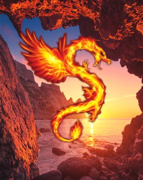 Herz Der Drachen Online Kurs