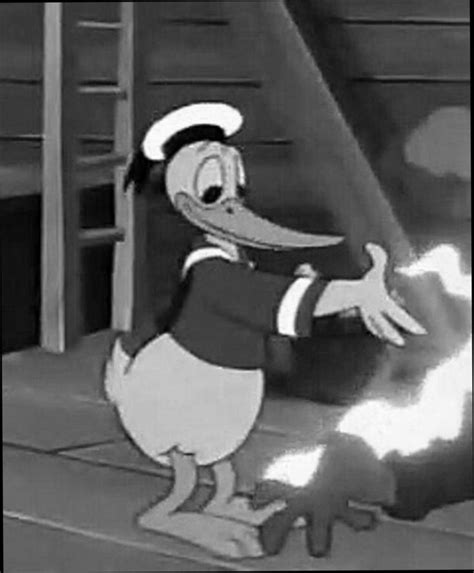 I Have No Words To Describe This Image Duck Wallpaper 1970s Cartoons Disney Duck