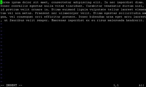 Vim Text Editor Zomro