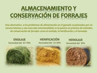 Conservación de forrajes PPT
