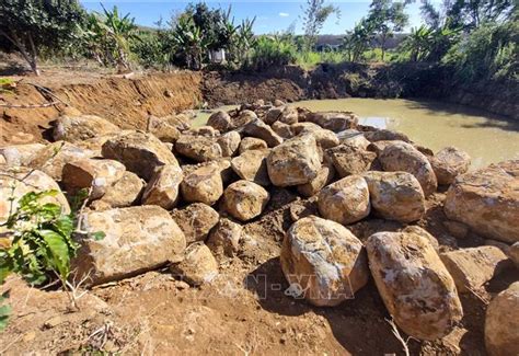 Gia Lai Hàng trăm khối đá Bazan trong vườn nhà dân bị khai thác trái
