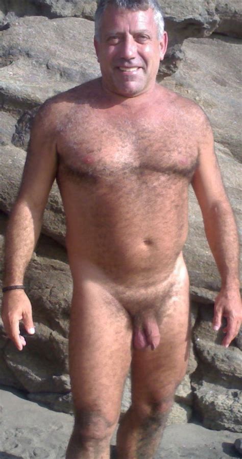 Stocky Bear Tumblr Telegraph
