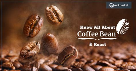 Know Everything About Types Of Coffee Beans Roasts