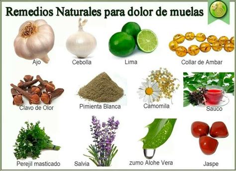 Dolor De Muelas Remedios Naturales Dolor De Muela Remedios