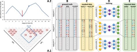 rapid reference free human genotype imputation with denoising autoencoders elife