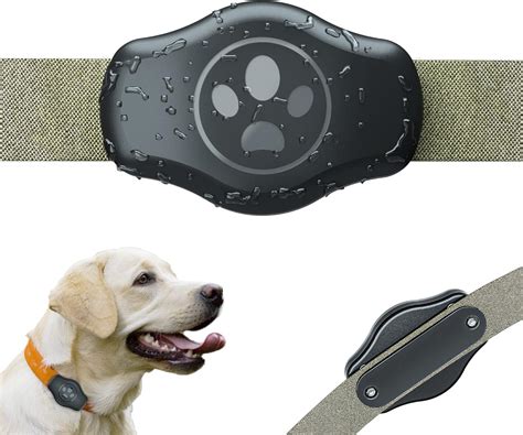 Soporte Para Collar De Perro Para Perro Con Una Peru Ubuy