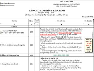 Hướng dẫn lập Báo cáo tình hình tài chính theo mẫu B01b DNN Thông tư