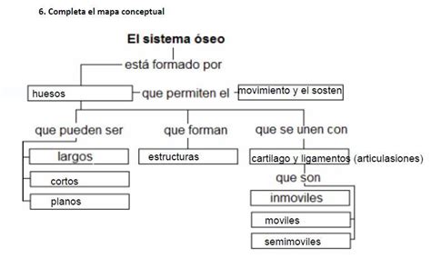 Mapa conceptual Sistema óseo Completa el Mapa Brainly lat