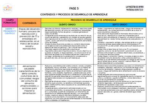 Contenidos Y Procesos De Desarrollo De Aprendizaje Fases Y Los