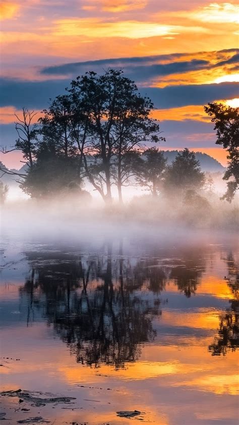 Odbicie drzew nad zamgloną rzeką Gwda o poranku Tapeta na telefon