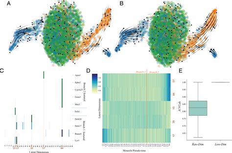 representation learning of rna velocity reveals robust cell transitions pnas