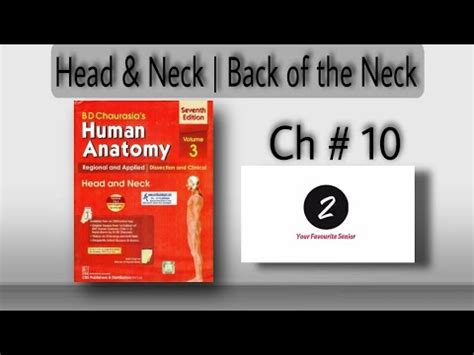 Back Of The Neck Head And Neck Anatomy Chapter 10 11 BD
