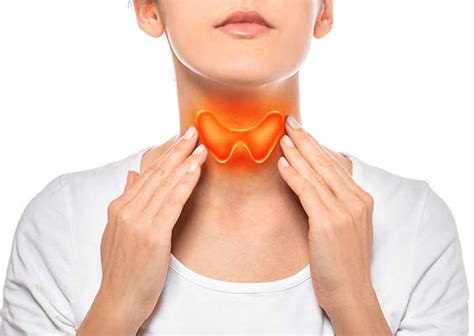 Fitoterapia w nadczynności tarczycy Czasopismo Naturoterapia w