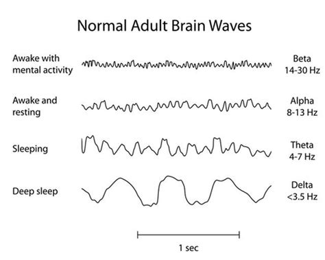 This Is How Sound Affects Your Brain Monatomic Orme