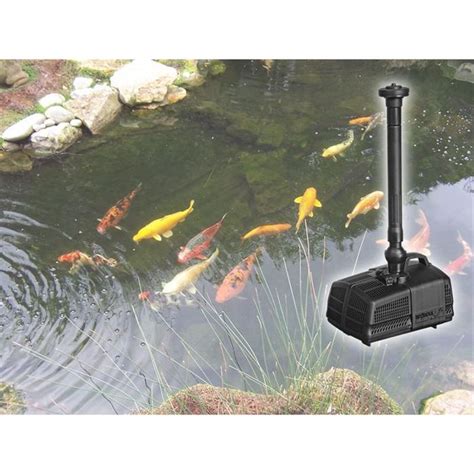 Pompes Pour Bassin Aquatique Materiel De Bassins