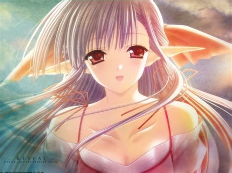 Fondos de pantalla ilustración Anime Chicas anime Barajar Nerine