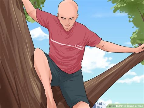 How To Climb A Tree With Pictures Wikihow