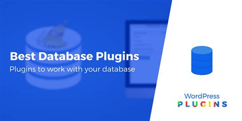 Wordpress Database Plugin Options For Cleaning And Development