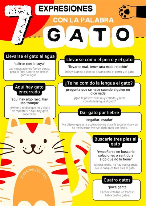 7 expresiones con la palabra GATO cat en español