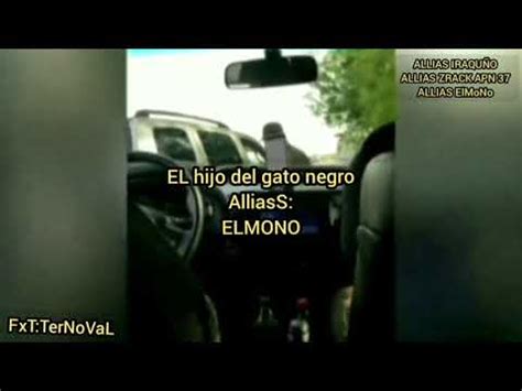 El Hijo Del Gato Negro 2020 TmF 35kviews NarkosCorridosS YouTube