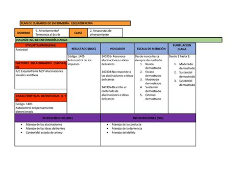 PLAN DE Cuidados DE Esquizofrenia PLAN DE CUIDADOS DE ENFERMERÍA