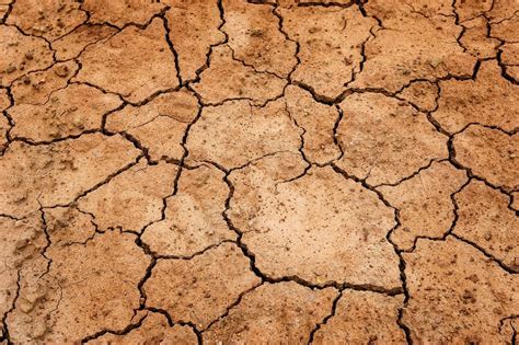 La degradación del suelo Ciencia y Biología