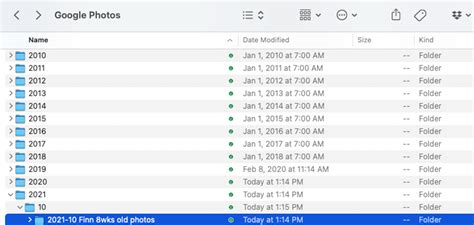 File Organization Template