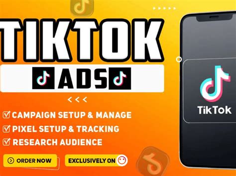 Run And Manage Tik Tok Ads Campaign And Pixel Setup For Your Business