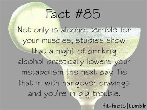 A Quote About Alcohol That Reads Fact 86 Not Only Is Alcohol Terrible