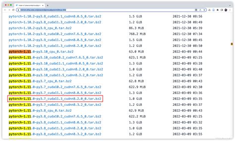 使用conda安装GPU版本的Pytorch conda install pytorch 1 11 0 torchvision 0 12