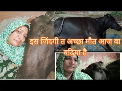 भगवन मर नम क त कड पड क सग ईब त इस त आग अत आलय बस कर