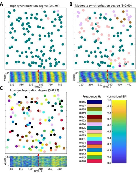 examples of instantaneous frequency patterns each circle location download scientific diagram