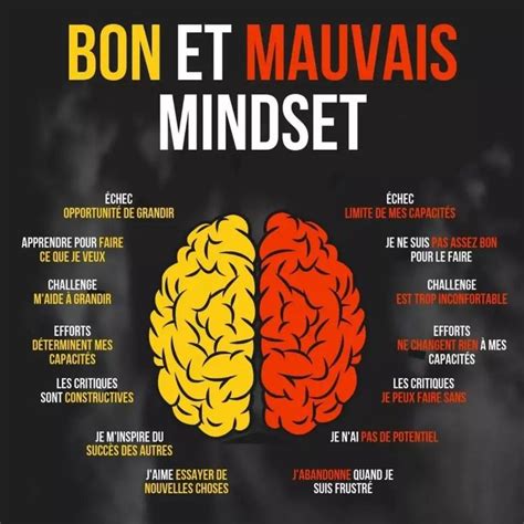 The Two Halves Of A Brain Are Labeled In Red And Yellow