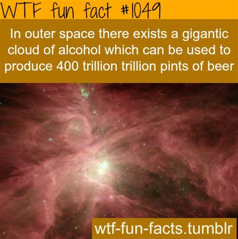 Wtf Fun Facts Pics