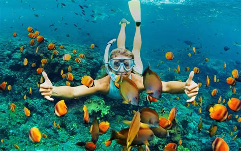 Andaman Nicobar Tour Package With Scuba Diving Book Now 33 500