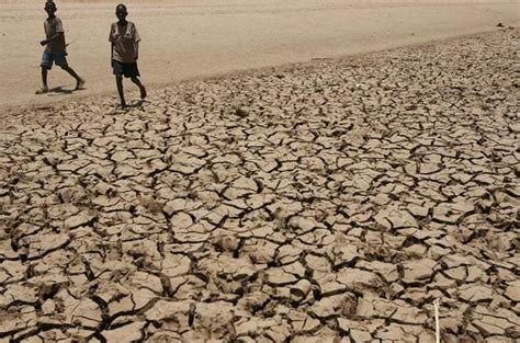 La Sequ A En El Cuerno De Frica Podr A Continuar En Seg N La Omm